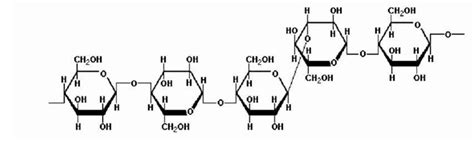 The Structure Of β Glucans In Barley 36 Download Scientific Diagram