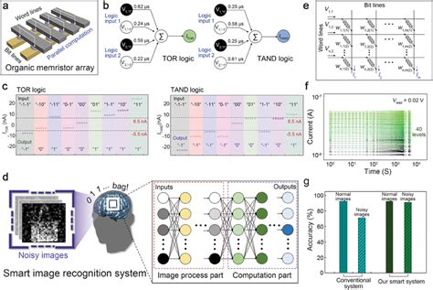 Potentials Of The Developed Organic Memristor In Practical And Complex Download Scientific