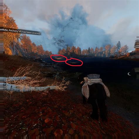 Anyone Recognize This Issue Seeing Double Skyvraan Reflections R