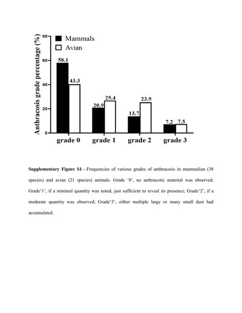 Pdf The Presence Of Anthracosis Is Associated With The Environmental