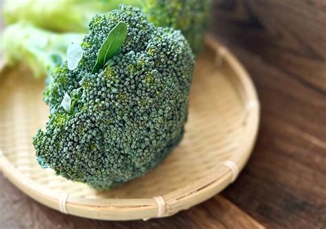 お役立ち情報｜介護食そふまる