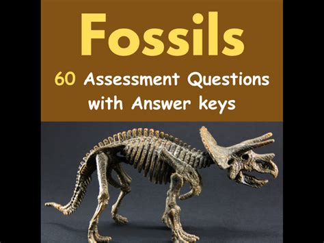 Fossils 60 Assessment Questions With Answers Quiz Test Teaching Resources