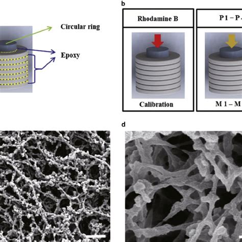 The Average Values Of Porosity Tortuosity And Permeability Were Download Table