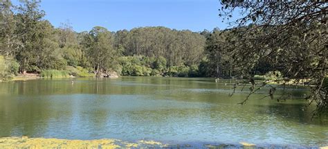 Wildcat Gorge And Lake Anza Loop California 337 Reviews Map Alltrails