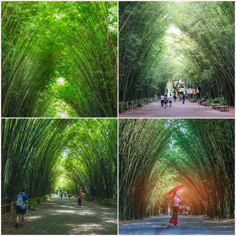 นครนายกเที่ยวไหนดี รีวิวที่เที่ยว ที่พัก ร้านอาหาร จุดเช็คอิน