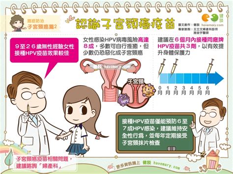 認識子宮頸癌疫苗｜癌症防治 子宮頸癌篇2 蕃新聞