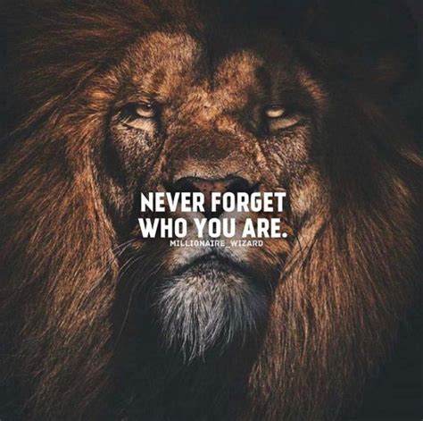 Inspirational Attitude Lion Quotes ShortQuotes Cc