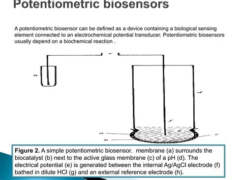 Biosensors Pptx