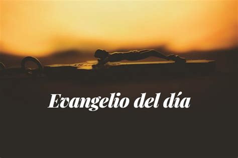 Evangelio Del Día Lectura Del Santo Evangelio Según San Mateo 412 17