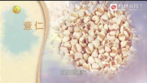 湿气比较重怎么办中医传授祛湿养肝的枸杞荷叶薏米汤 凤凰网视频 凤凰网