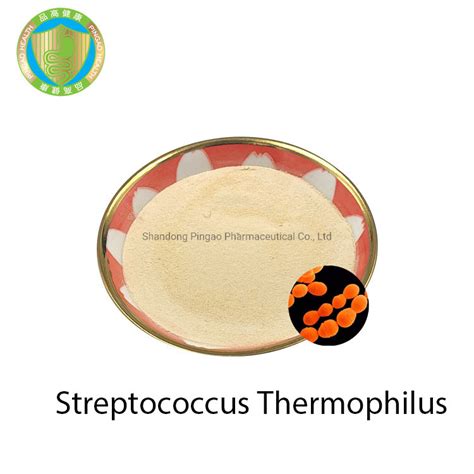 10 Billion Cfu G Freeze Dried Streptococcus Thermophilus Probiotic