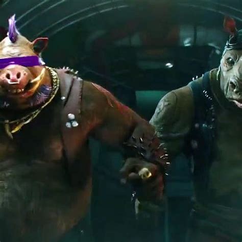 Bebop And Rocksteady Ninja Turtles Movie Ninja Turtles Reboot See