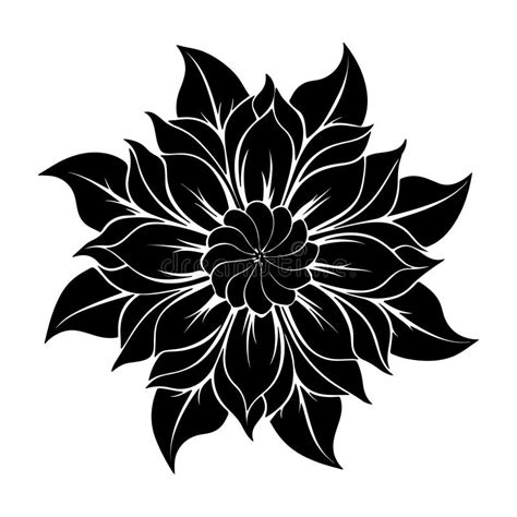 Vector De Silueta De Flores Ilustración Del Vector Ilustración De