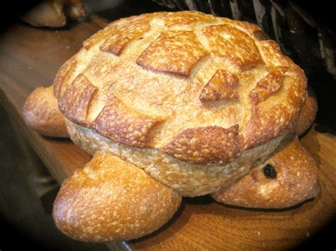 Sourdough Turtle Boudin Bakery Bakery Bread Boudin Sourdough Bread