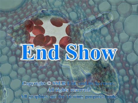 Bio21 Cells Discovery Organisation And Specialisation Teaching Resources