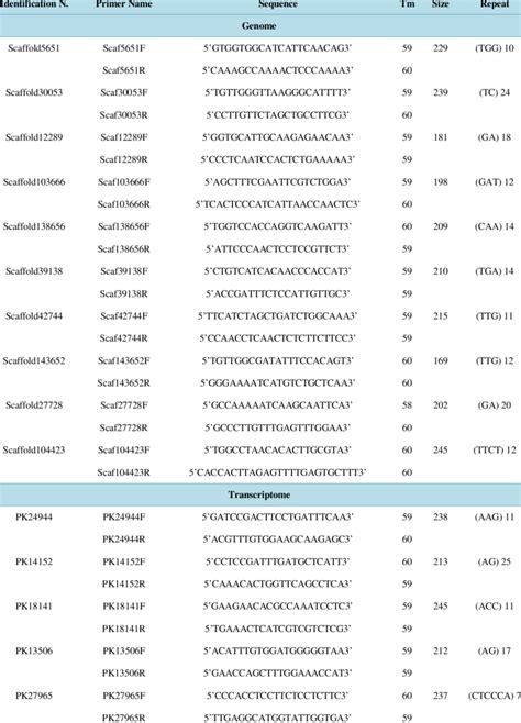 Identification Number N Primer Sequence And Melting Temperature Tm Download Table