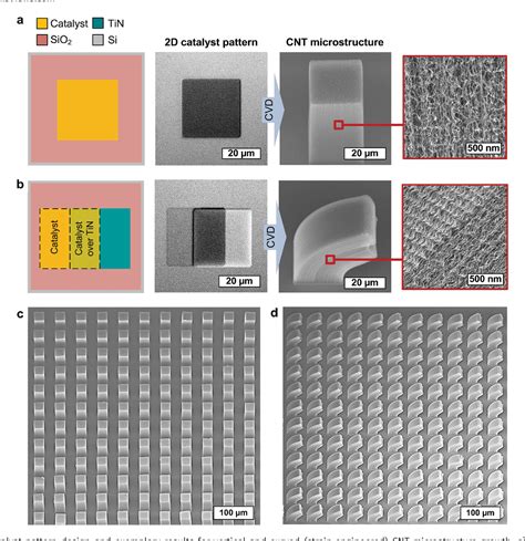 Figure From Predictive Synthesis Of Freeform Carbon Nanotube
