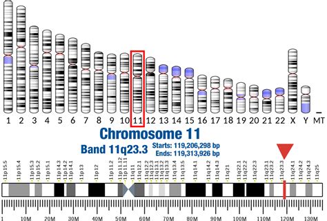 CBL Laboratory Testing And Research