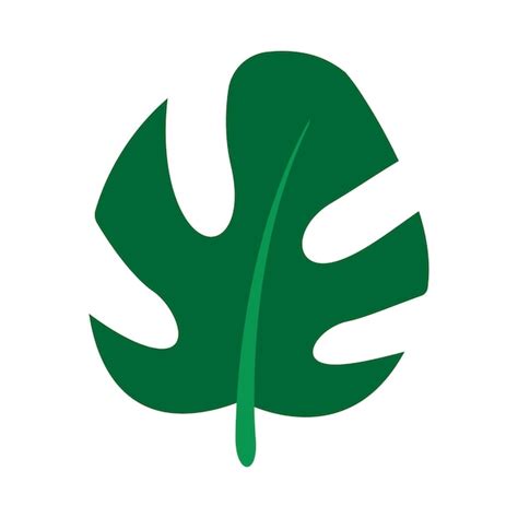 Premium Vector Monstera Leaf Icon