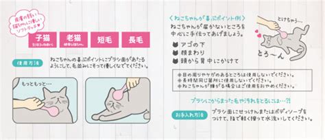 猫舌とろん 株式会社ビューティーワールド Beautyworld株式会社ビューティーワールド Beautyworld