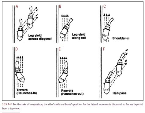 Lateral Movement Exercises