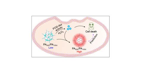 Ratiometric Photoacoustic Imaging Probe For Self Predicting Nanozyme