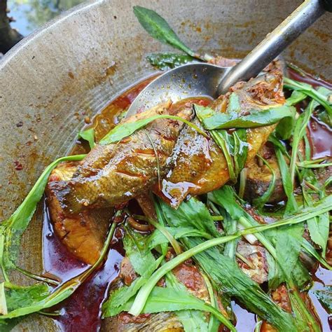 Healthy ငါးပြေမဆီပြန် ငါးပြေမ အကောင်ကြီးကြီးရလို့ ချက်စားတယ်တို့ ဘာတို့ပေါ့ ငါးကို သန့်စင်ပ