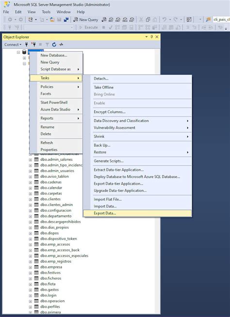Programación Base De Datos By Luvigal Fiverr