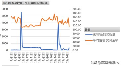 商业数据分析2：excel模块，数据透视表vba概览 正数办公