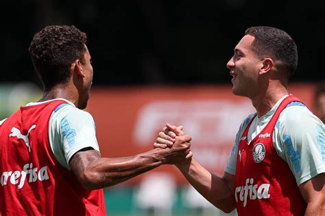 Em Qual Canal Vai Transmitir O Jogo Do Palmeiras X Ferroviária Hoje No