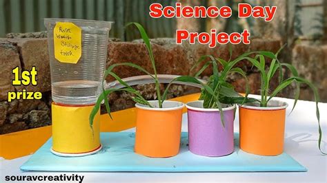 6 Klasse Science Fair Prosjekter Sixth Grade Science Projects