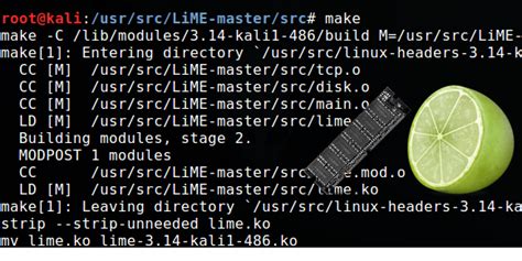 lime linux memory extractor