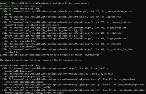 Rasa X Running Error Make Sure To Start Rasa X With Valid Data And Valid Domain And Config