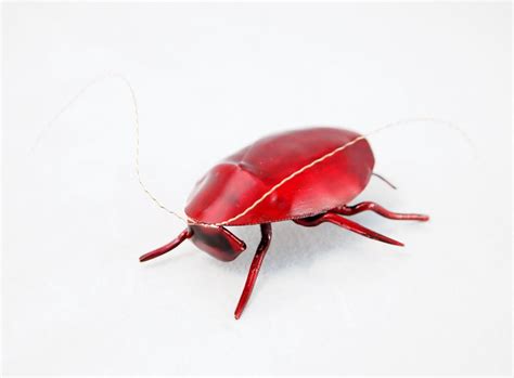 2 Inch Shell Red Roach Copper Metal Wall Sculpture Etsy