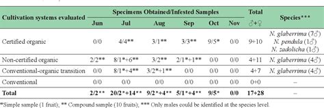 Neosilba Zadolicha Semantic Scholar