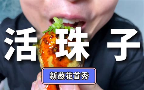 斯坦的日常炫珠，炫珠口诀都记住了吗？！ 不信邪的斯坦 不信邪的斯坦 哔哩哔哩视频