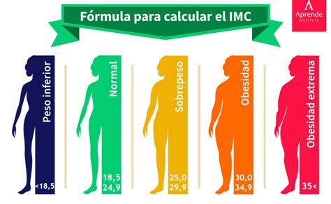 Cómo Calcular El Índice De Masa Corporal Imc En Las Mujeres Guía