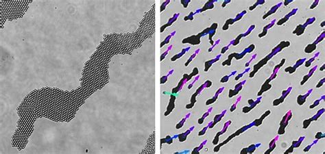 Pac Man Effect Enables Precise Organization Of Superparamagnetic