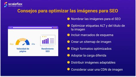 La importancia de la optimización de imágenes para SEO Blog Scaleflex