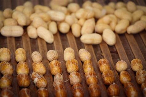Premium Photo Peanuts On Table