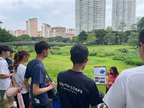 Ubc And Singapore Undergrads See Firsthand What Makes A ‘livable City In