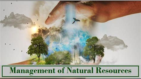 Ncert Solutions Cbse Class 10 Science Sustainable Management Of Natural