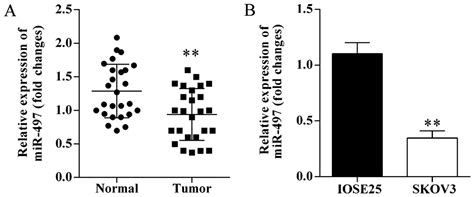 Overexpression Of Microrna 497 Suppresses Cell Proliferation And