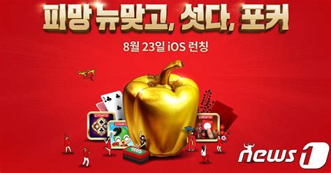 네오위즈 깜짝 실적3분기 매출 영업이익 두자릿수 증가