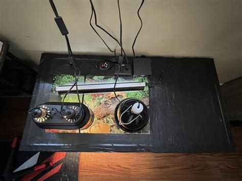rate my enclosure r ballpython