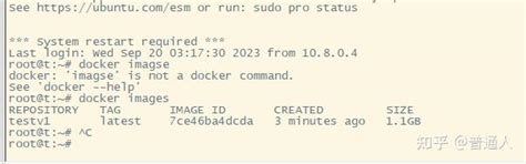 Python程序docker打包安装 知乎