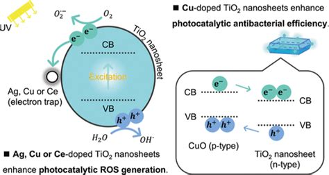 Enhancing The Photocatalytic Activity And Antibacterial Efficiency Of Tio2 Nanosheets Via Doping