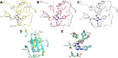 Co Crystal Structure Of HIV 1 Reverse Transcriptase RT With A 2