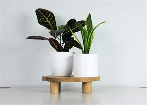 Koka Trauks Uz Kājām Kūkas Statīvs Paliktnis Puķu Podam Paplātes