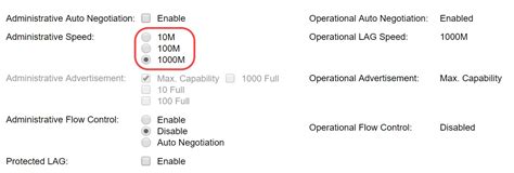 Management Und Einstellungen Der Link Aggregation Group Lag Für